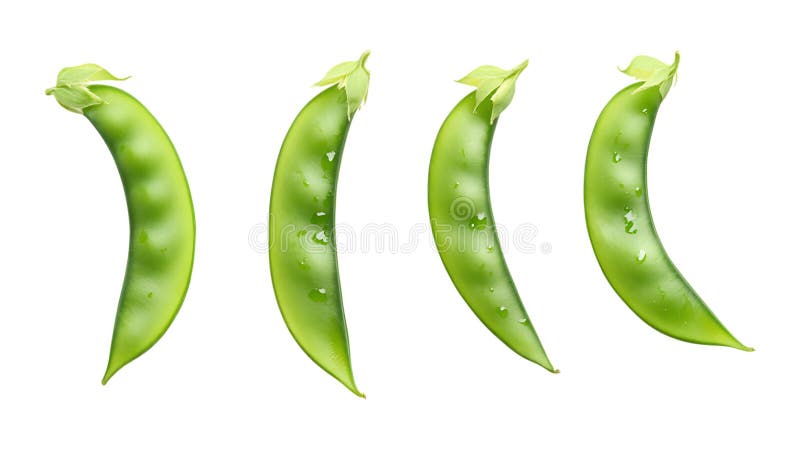 Pack of Snow Peas Set Against Transparent Background for Food or ...