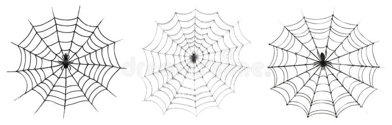 Pack of Spider Hanging Web on Transparent Background - Ai Generated ...
