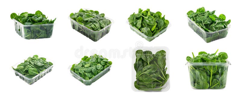 Pack of Spinach Vegetable on Transparent Background Stock Illustration ...