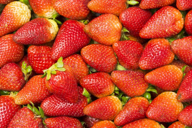 Colorful strawberries stock photo. Image of dyed, strawberry - 12485864
