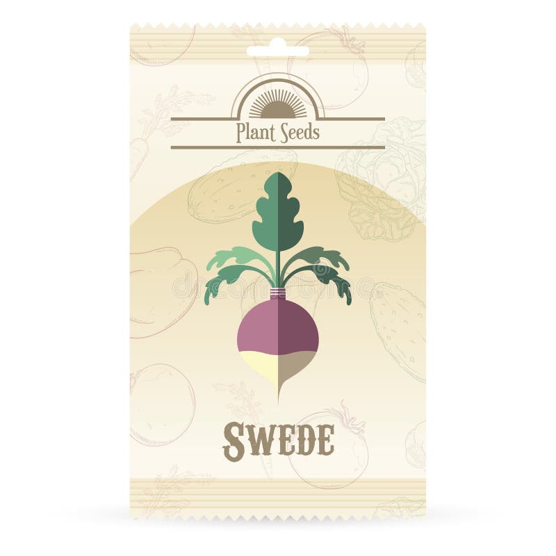 Pack of Swede seeds stock vector. Illustration of green - 89371980