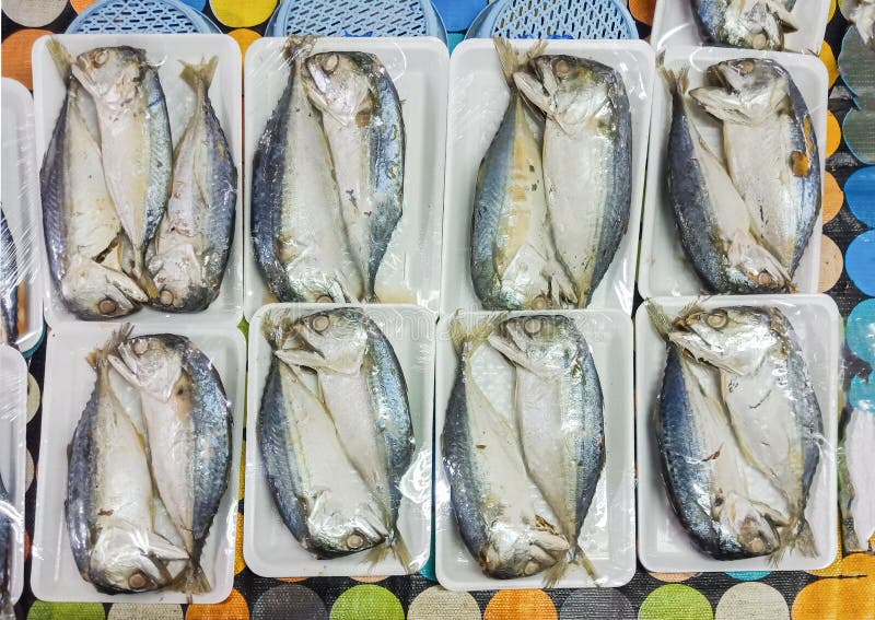 Pack of Thai Mackerel Fish in Foam Plate, Top View Stock Image - Image ...