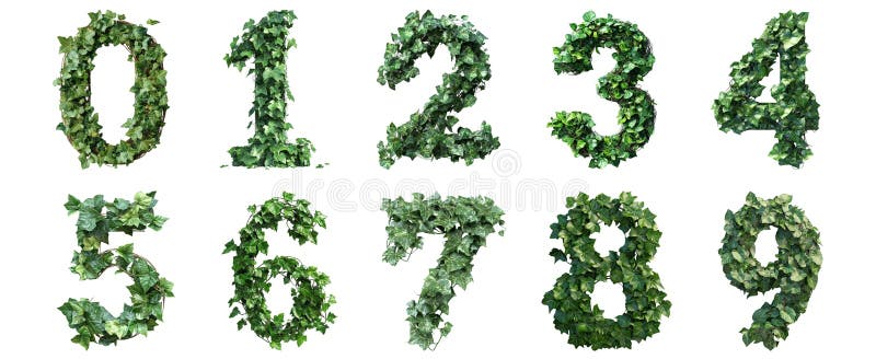 Pack 0 To 9 Numbers Leafy Vines Style Set Over Transparent Background ...
