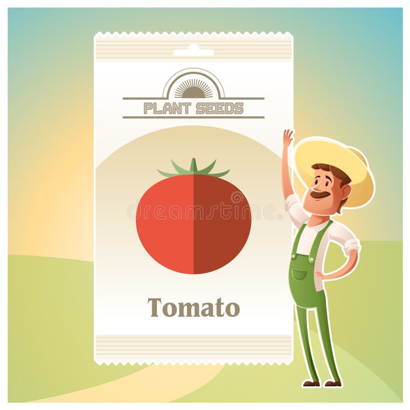 Pack of Tomato seeds stock vector. Illustration of juicy - 89503750