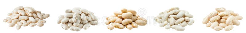 Pack of White Beans Set Isolated on a Transparent Background Stock ...