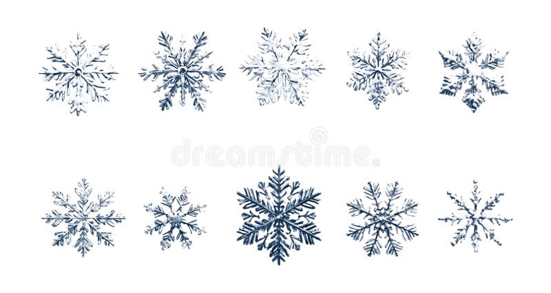 Pack of Winter Snowflake on Transparent Background Stock Illustration ...