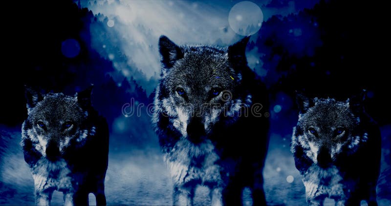 Pack of Wolf Full Moon Night Illustration Stock Image - Image of person ...