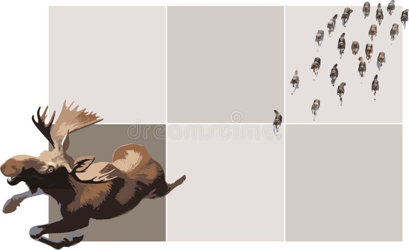 A Pack of Wolves Chasing a Large Moose Stock Illustration ...