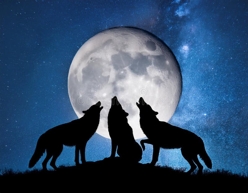 Midnight Serenade - Wolves Howling at Full Moon. Stock Illustration ...
