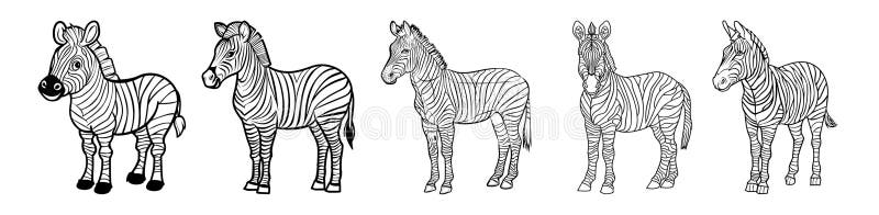 Pack of Zebra Sketch Art on Transparent Background Stock Illustration ...
