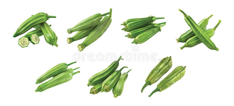 Pack of Zucchini Summer Squash on Transparent Background Stock ...