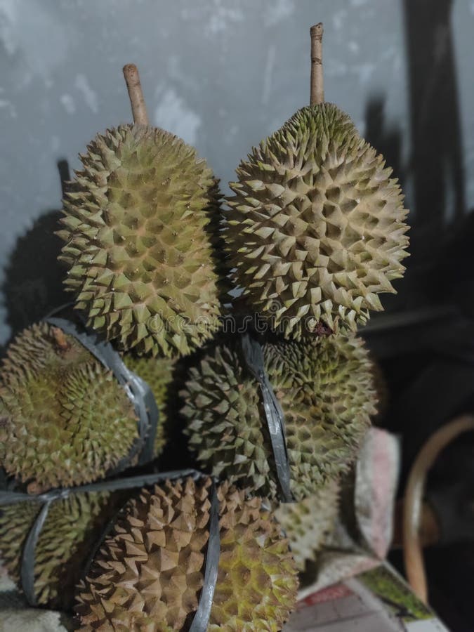 Package of Durians stock photo. Image of pakcage, localdurian - 341720278