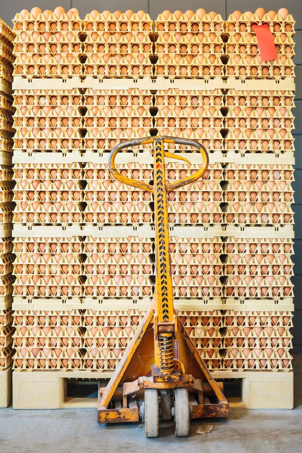 Chicken Mass Farming Stock Photos - Free & Royalty-Free Stock Photos ...