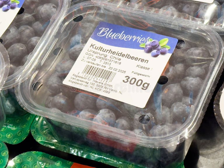 Packaged Fresh Blueberries from Chile in Plastic Container with Label ...