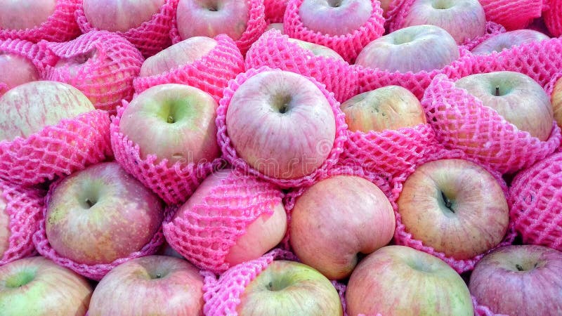 Packaged fresh red apples stock image. Image of produce - 221344023