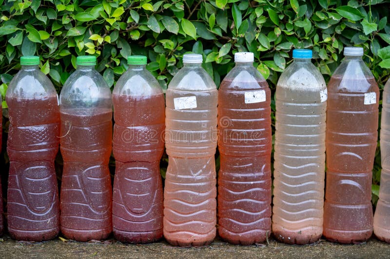 Packaged in a Plastic Container, Biofermented Water for Use in ...