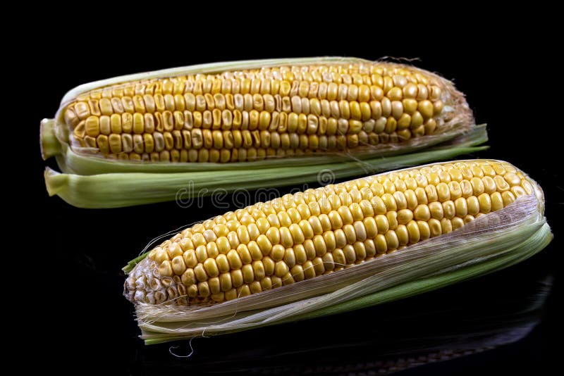 Packaged and Sealed Fresh Grocery Store Yellow Corn. Isolated. on Black ...