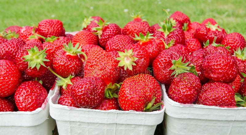 Packages with Fresh Strawberries with Grass Background Stock Photo ...