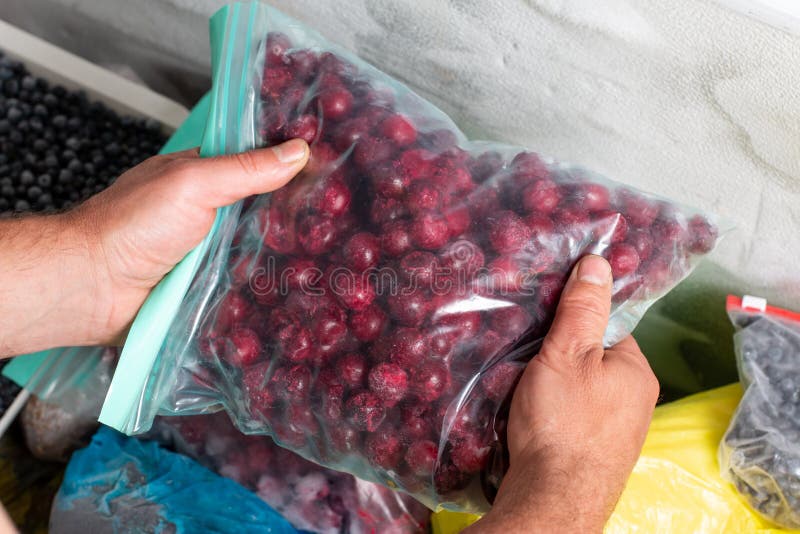Packages with Frozen Cherries in the Freezer. Frozen Food Stock Image ...