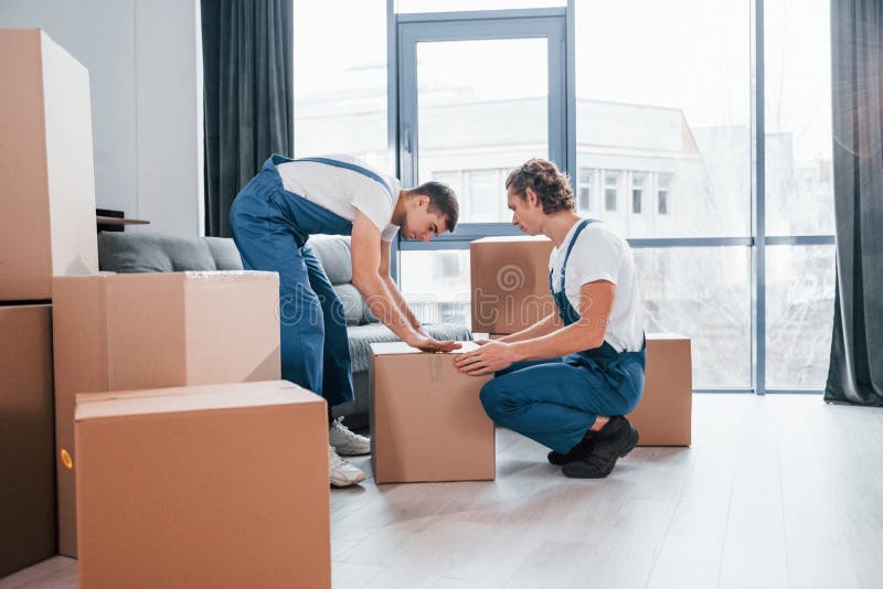 Packaging the Box. Two Young Movers in Blue Uniform Working Indoors in ...