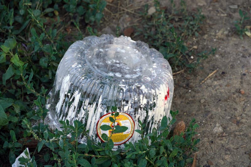 Cake Wasteland Stock Photos - Free & Royalty-Free Stock Photos from ...