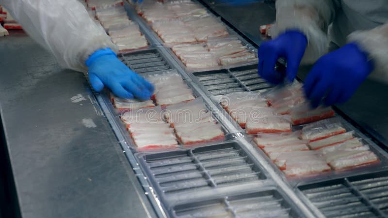 Packaging Process of Fish Products. Food Processing Factory Production ...