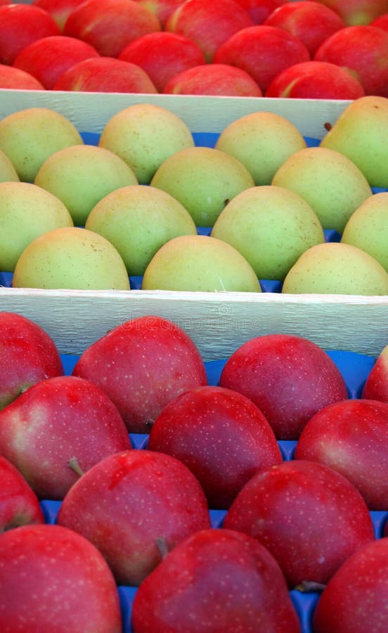 Packed apples stock photo. Image of table, delicious - 26827948