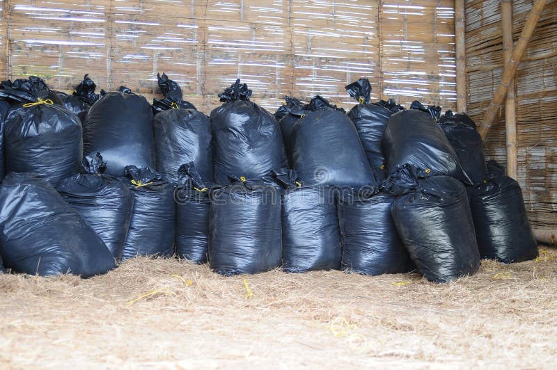 Packed hay stock image. Image of gathered, overlapped - 12219285