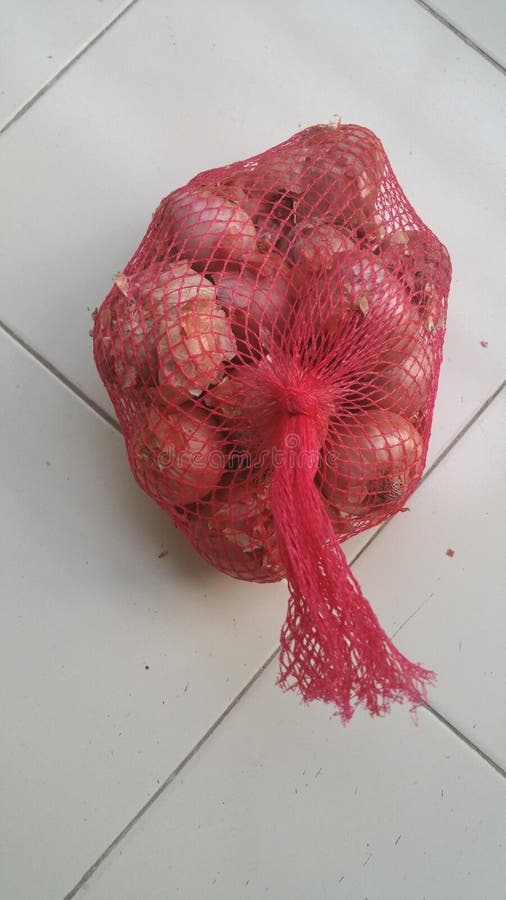 Packed onions in bag stock photo. Image of tasty, agricultural - 77041398