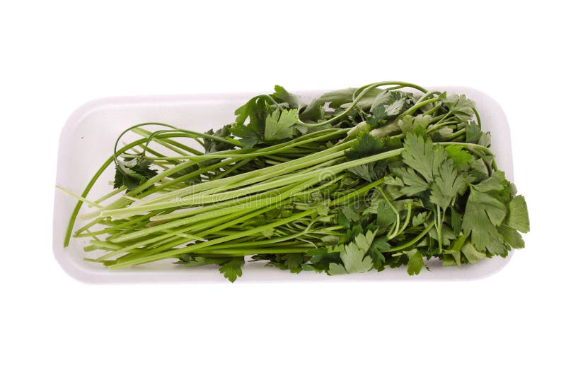 Packed parsley stock image. Image of cherry, organic - 20676469