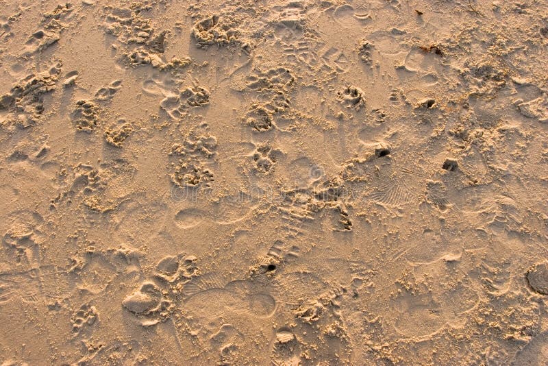 Packed Sand Background (footprints) Stock Photo - Image of drift ...