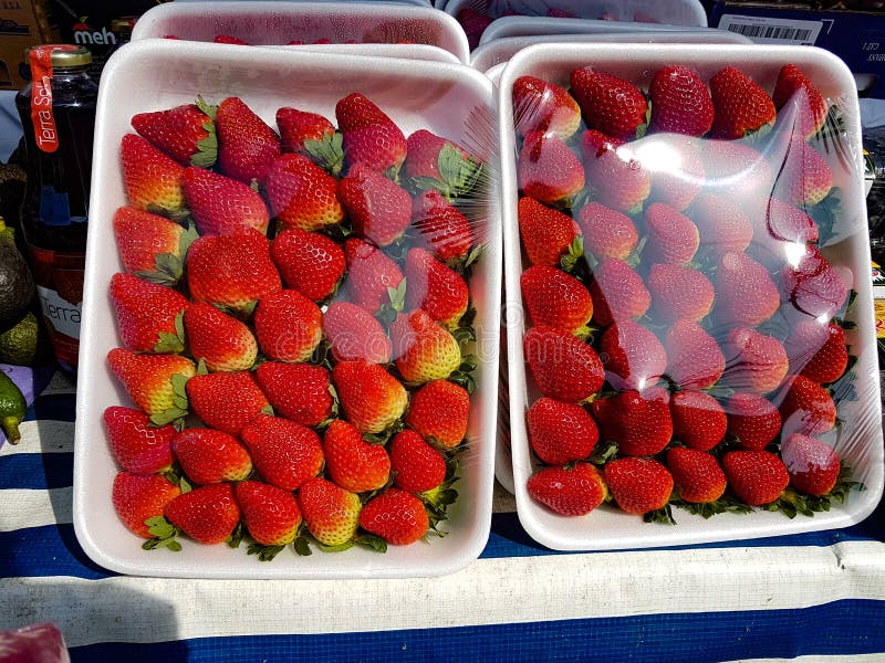 Packed Strawberry stock image. Image of tasty, resh, packed - 99068771