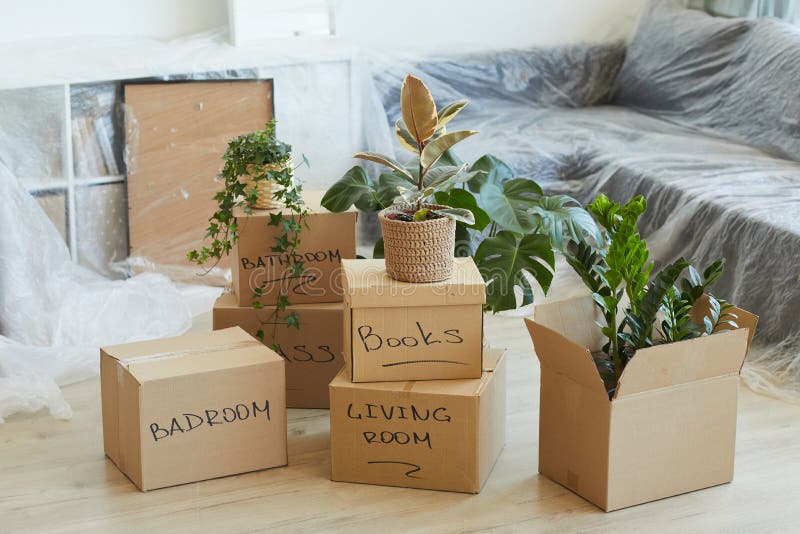 Packed Things in the Apartment Stock Image - Image of decoration ...