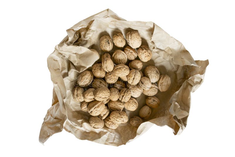 Packed walnuts isolated stock photo. Image of studio - 192348332