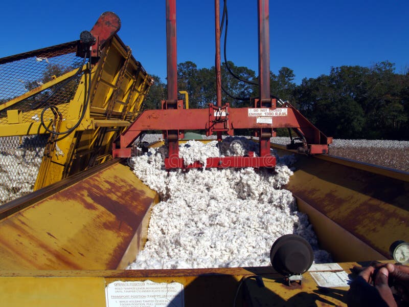 Packing Down the Cotton Module Builder Stock Image - Image of farming ...
