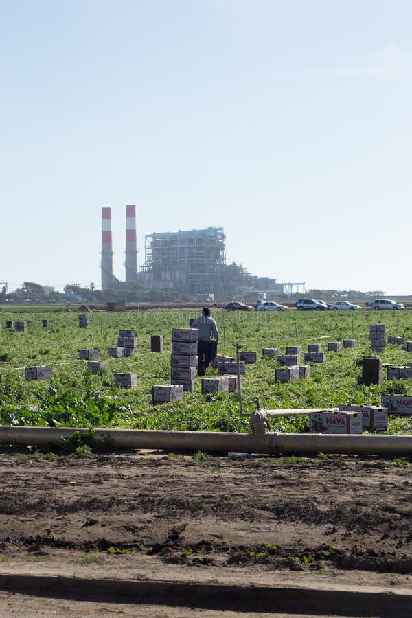 Packing Produce Near Power Plant Editorial Stock Photo - Image of ...
