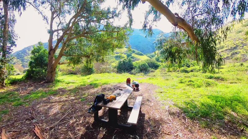 Packing up Camp Time Lapse stock video. Video of forest - 351066475