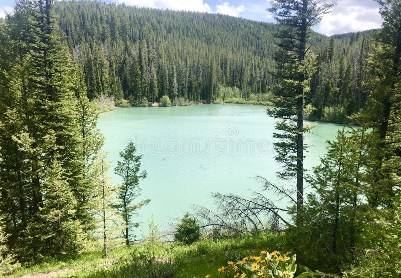 Packsaddle lake stock photo. Image of treasure, trees - 213396026