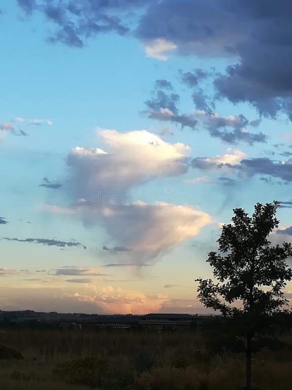 Pacman stock photo. Image of trees, colorado, pacman - 142643442