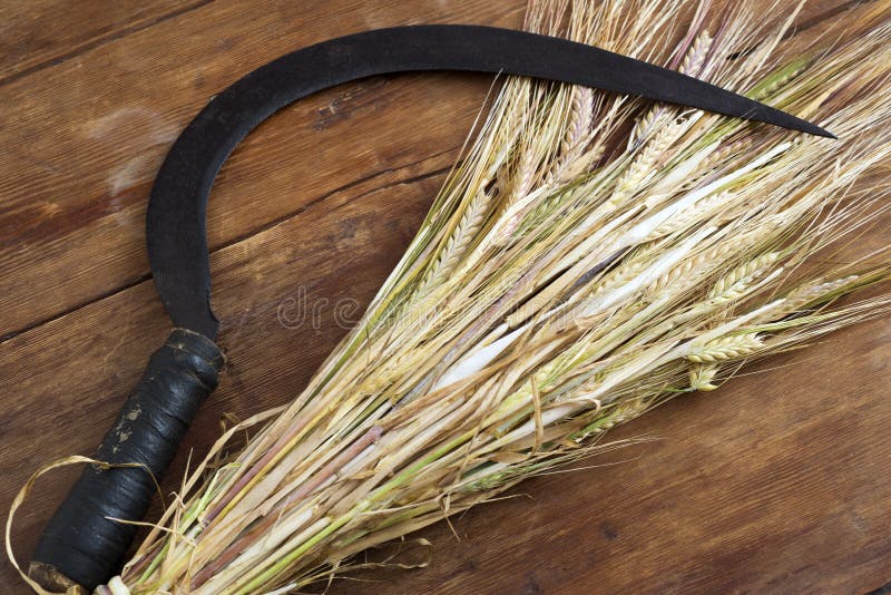 Pacote e foice do trigo imagem de stock. Imagem de tabela - 56673923