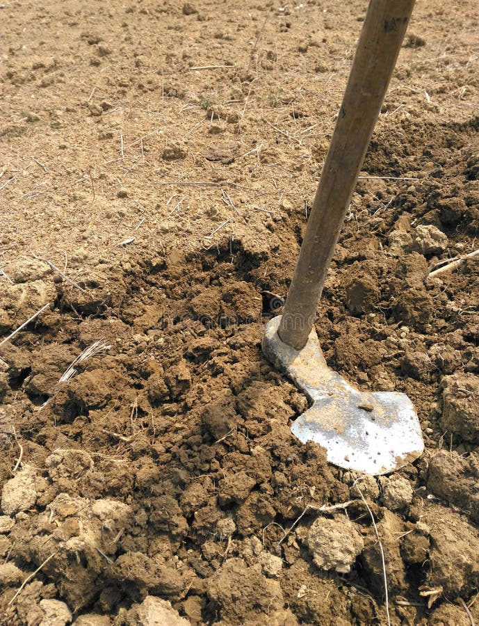 Pacul, Traditional Farming Tool Stock Photo - Image of traditional ...