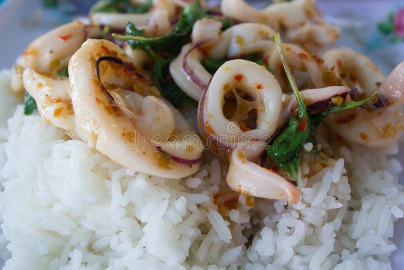 Pad Kra Pro, Stir Fried Squid with Chilli and Basil Stock Image - Image ...