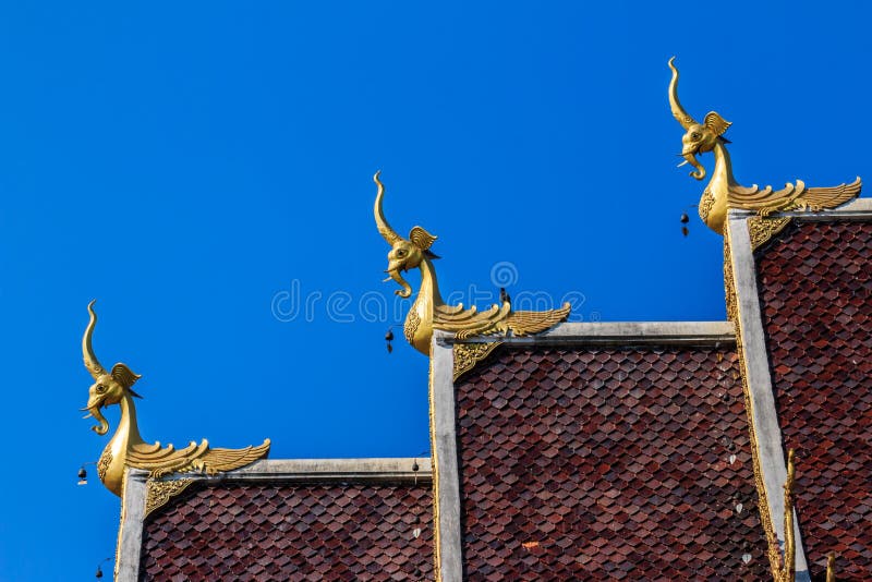 Padad Stock Photos - Free & Royalty-Free Stock Photos from Dreamstime