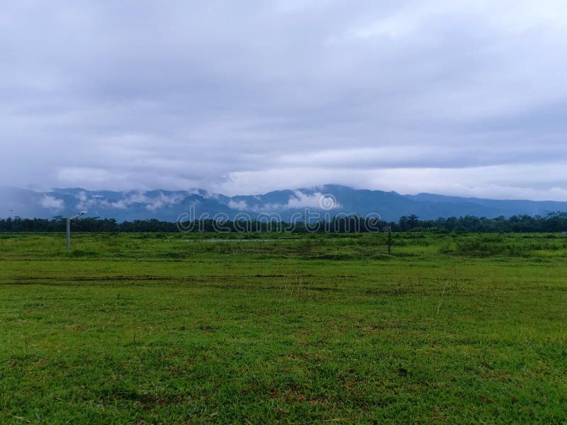 Padang rumput stock image. Image of padang, background - 262045287