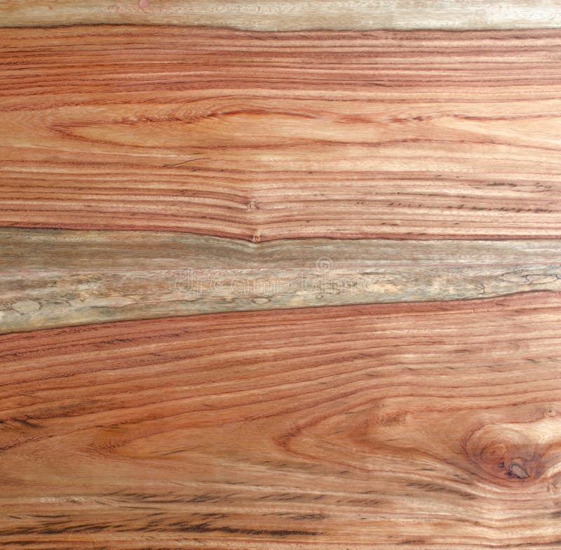 Padauk wood grain stock image. Image of grain, natural - 43384207