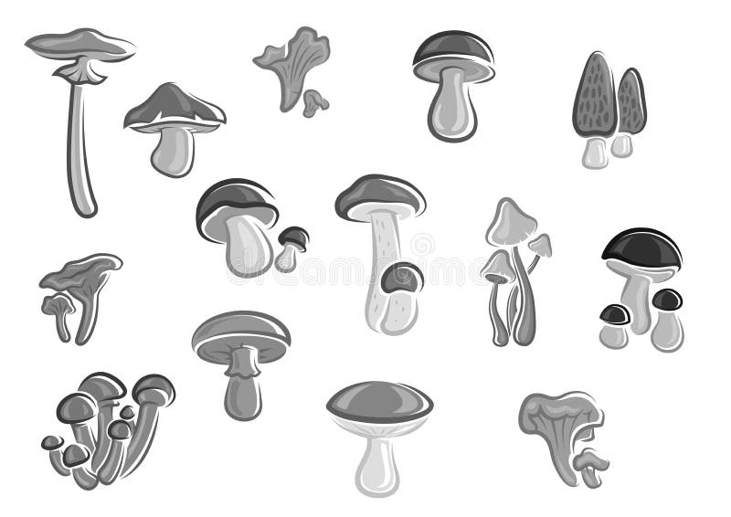Paddestoelen Eetbare Champignons, Morille Vectorpictogrammen Vector ...