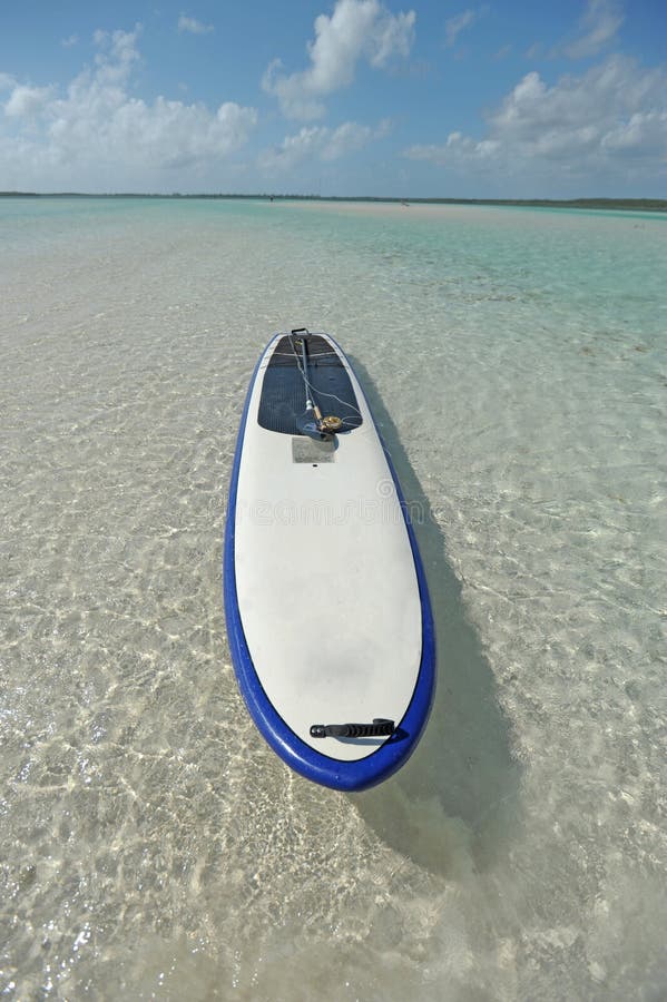 Paddle board in blue water stock photo. Image of beach - 24659242