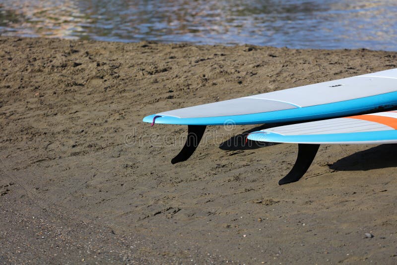 Paddle Boards, on the Beach on the Sand, at Sunset Stock Photo - Image ...