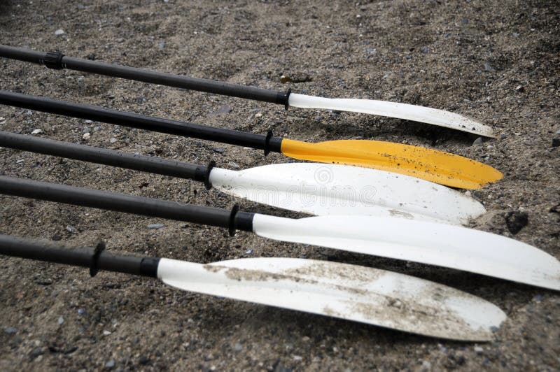 Paddles stock photo. Image of vacation, nature, recreation - 11374900