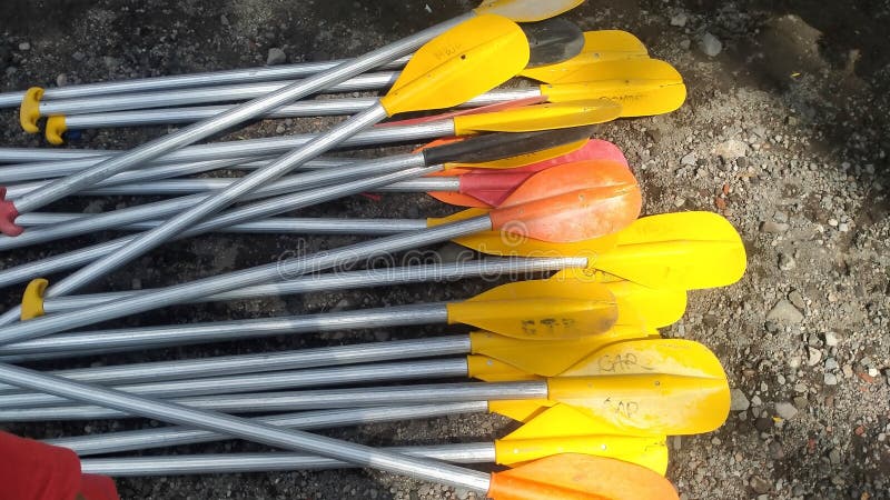 Paddles for rafting stock photo. Image of paddles, river - 335043204